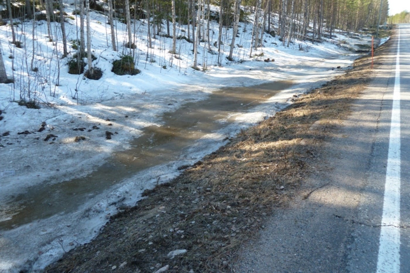 Side Of The Road Pool - Private Pool in Atqasuk - Swimply