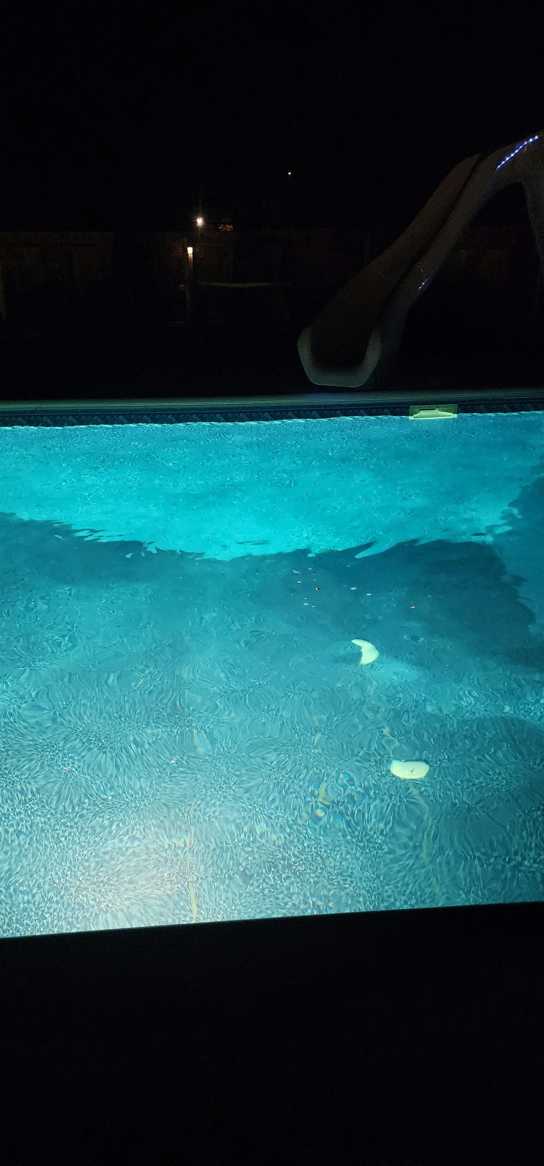 Whispering Pines - Private Pool in Avon Lake - Swimply