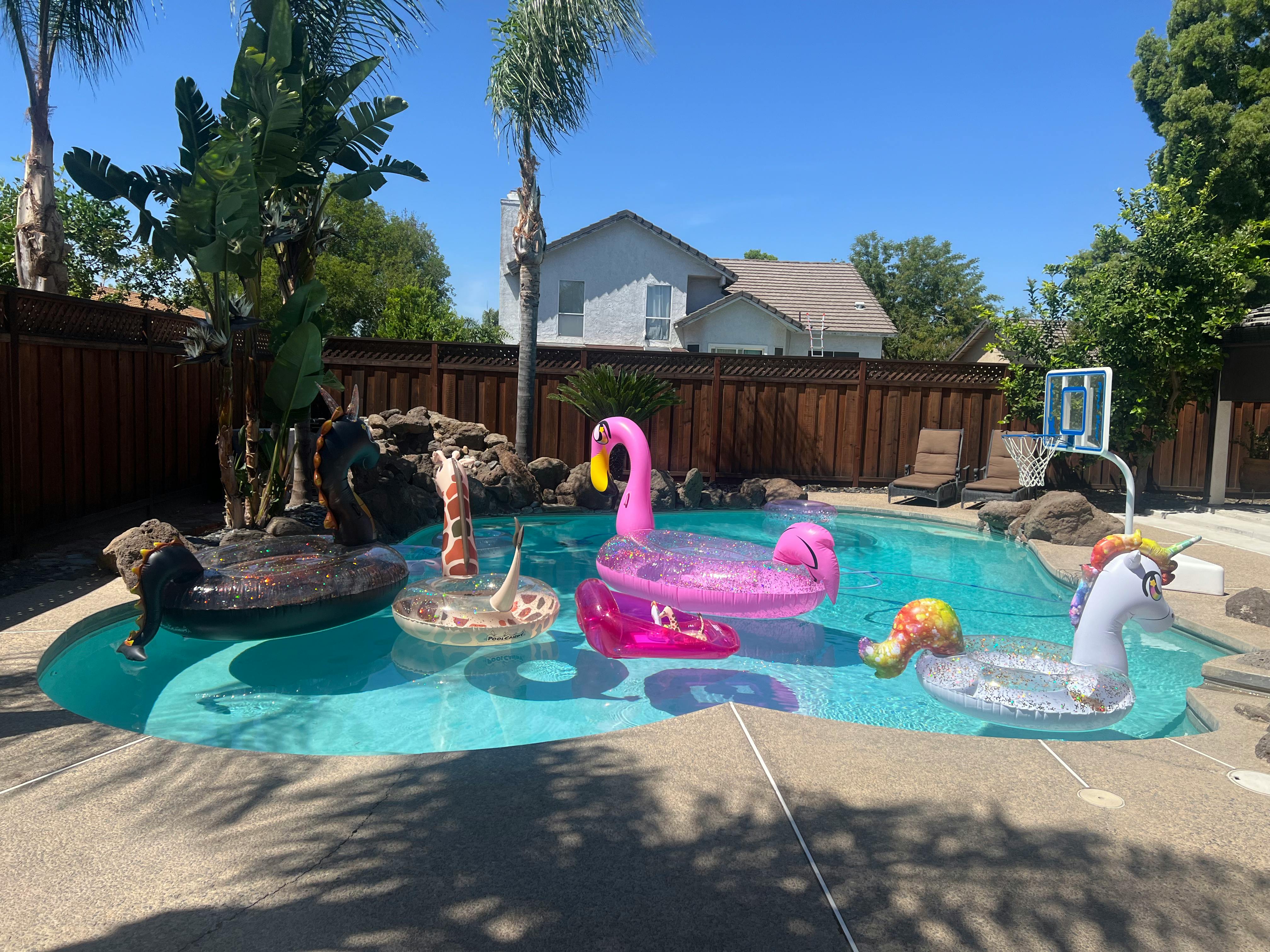 Resort Style Vibe - Private Pool in Ceres - Swimply