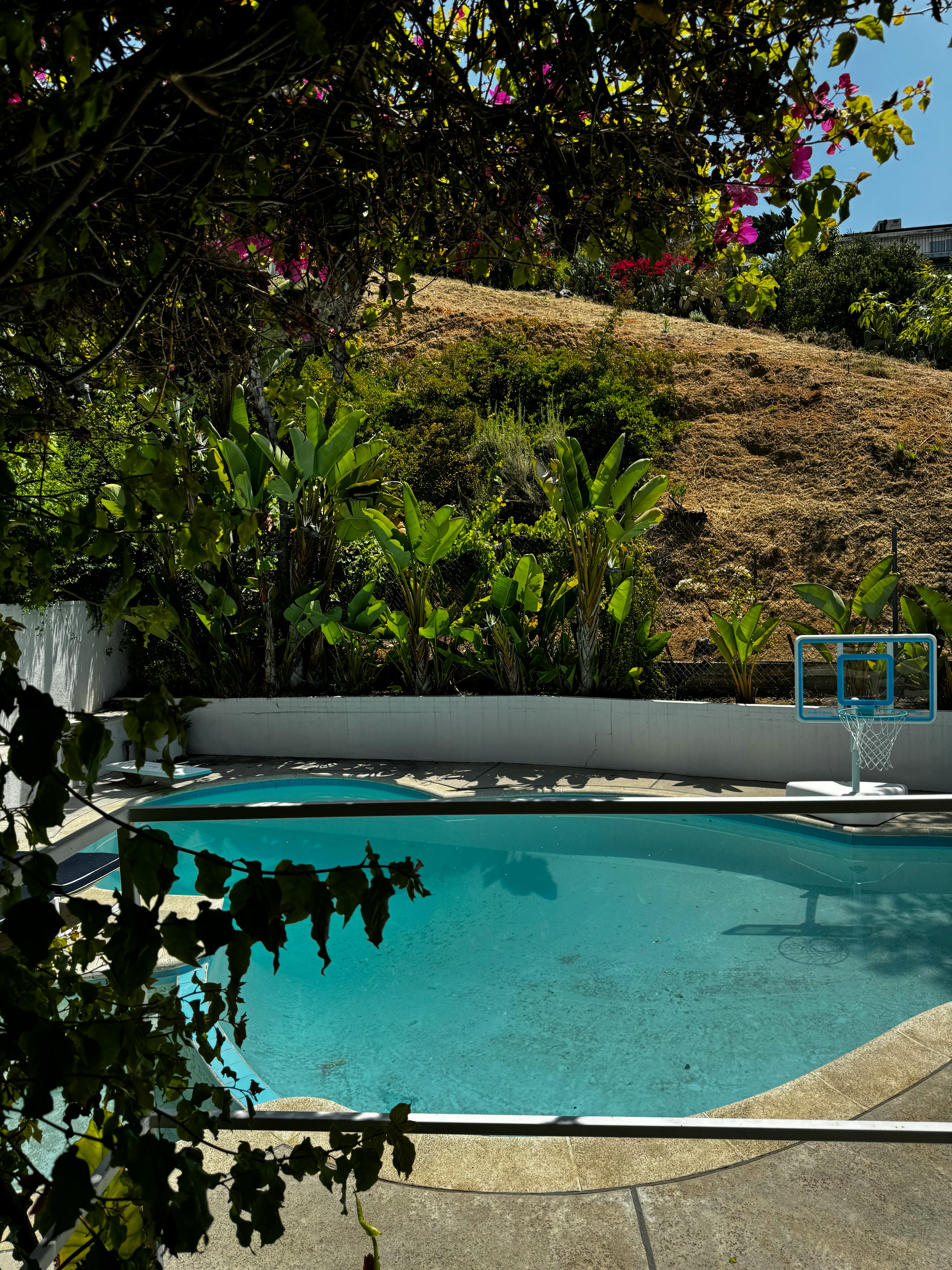Highland Park Midcentury Pool With Views - Private Pool in Los Angeles ...