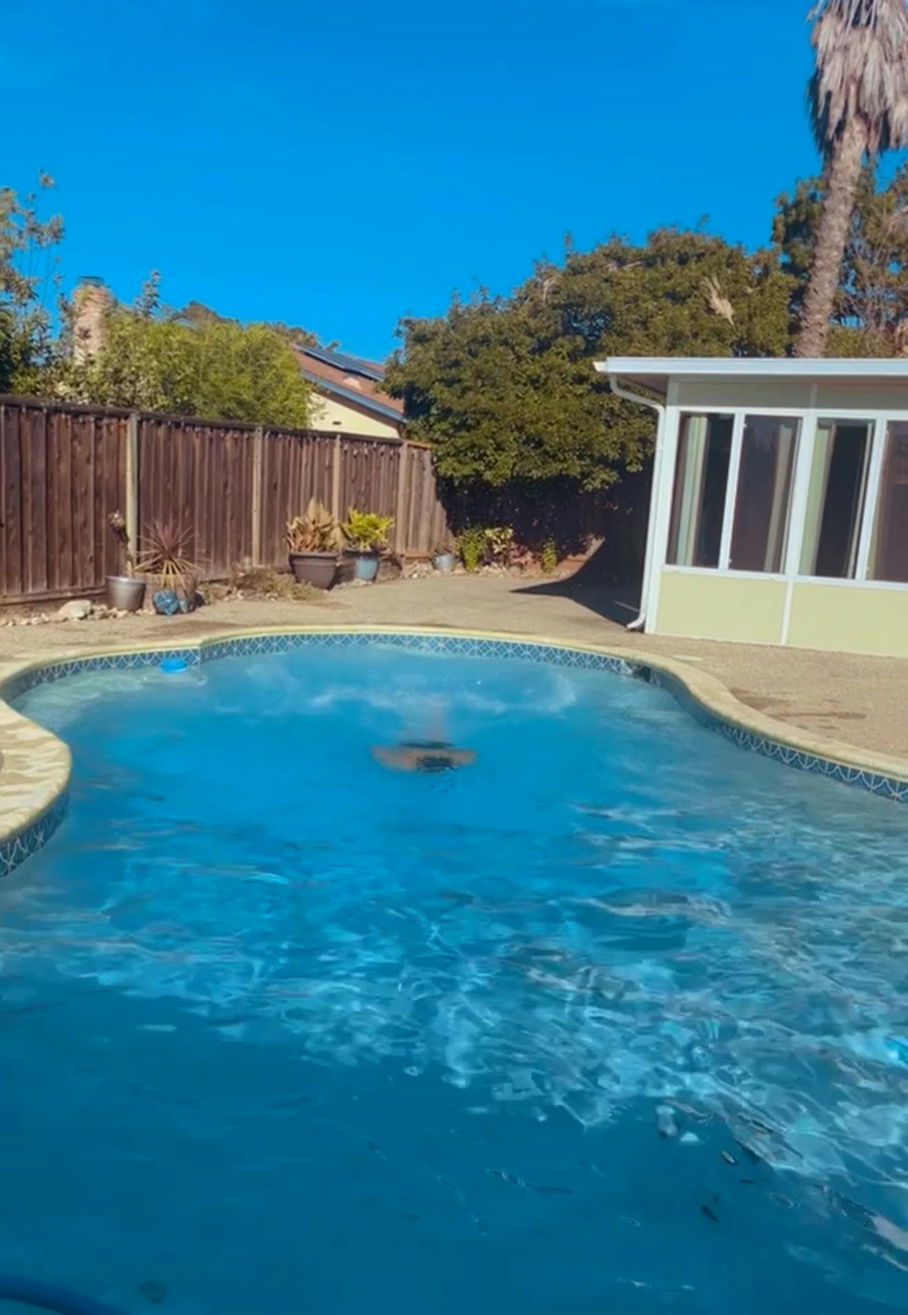 Pool - Private Pool in Newark - Swimply