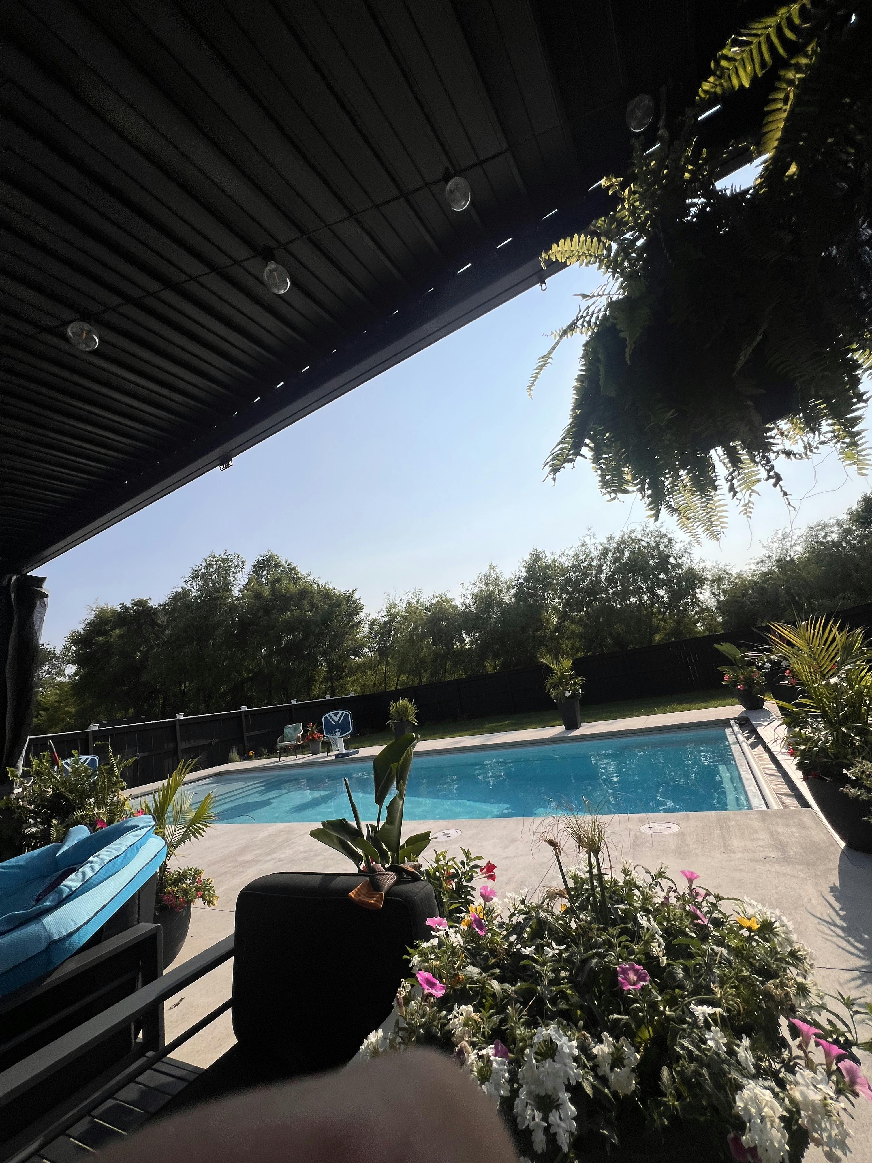 BotaniBeauty - Private Pool in Des Moines - Swimply