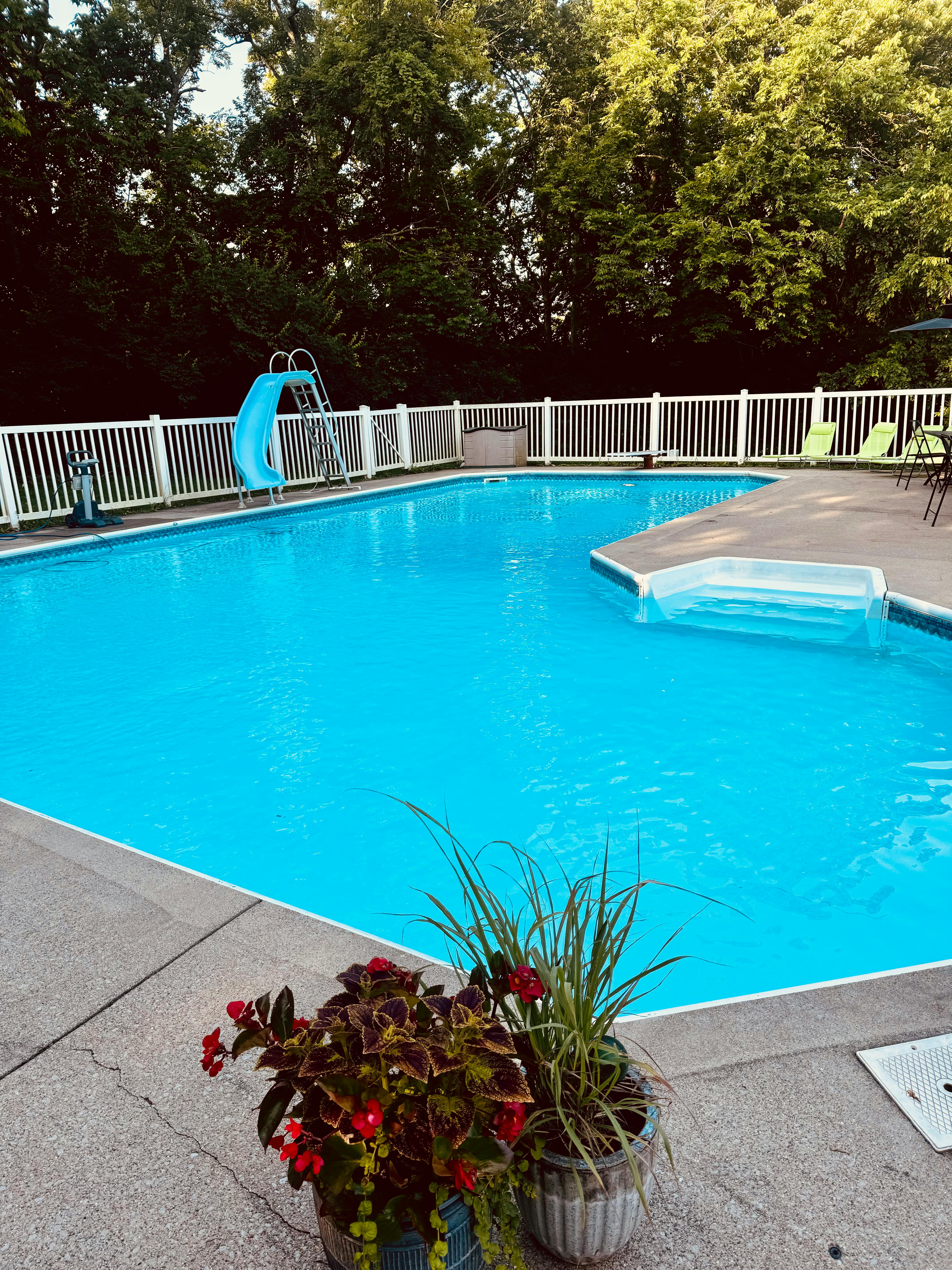 Pine & Pool - Private Pool in Lexington - Swimply