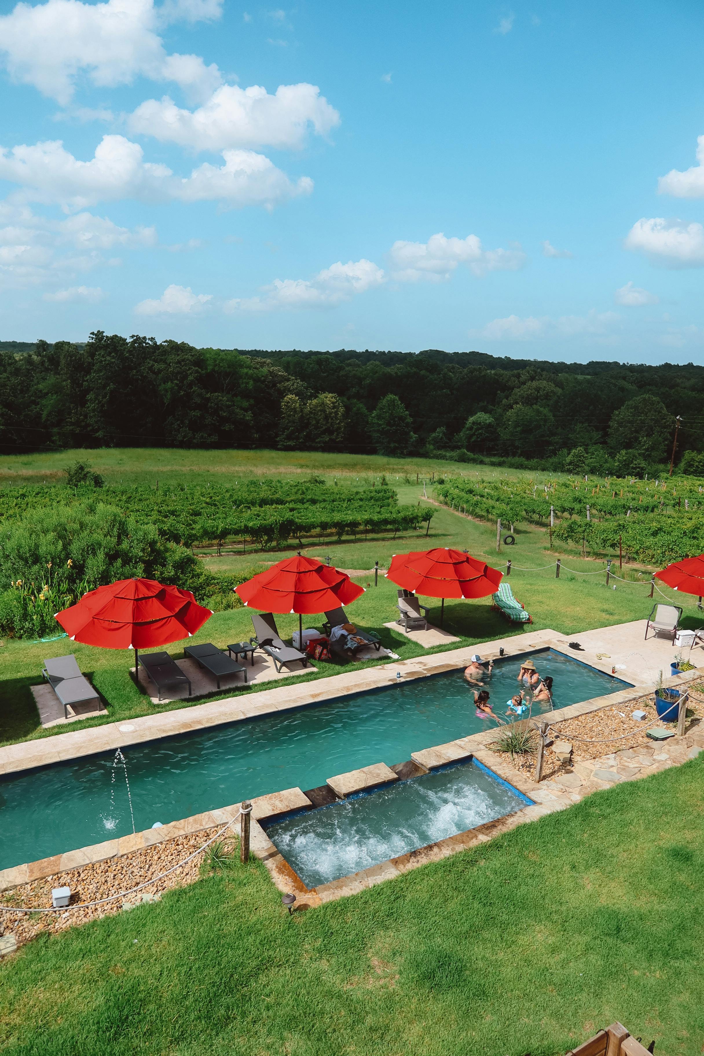 Tara Vineyard & Winery Pool Oasis - Private Pool in Athens - Swimply