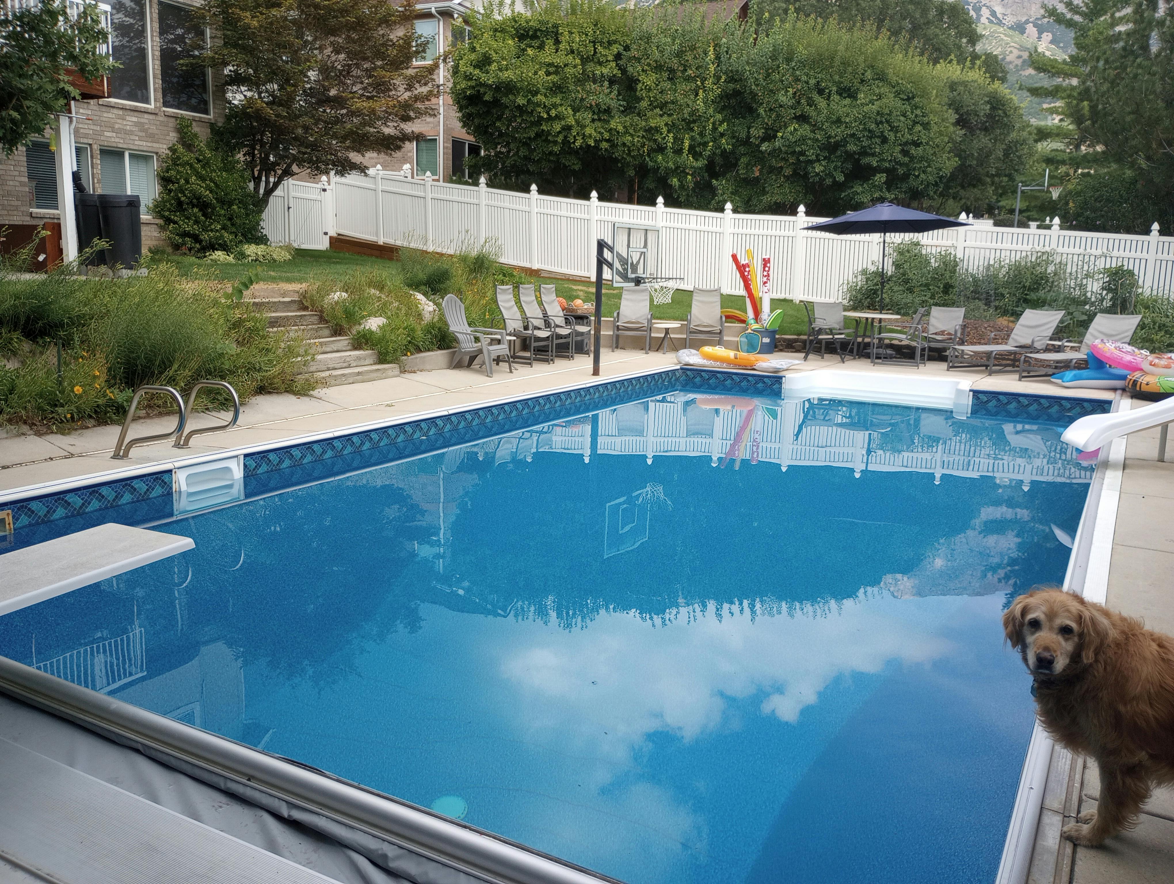 Summer Sun and Mountain Majesty - Private Pool in Ogden - Swimply