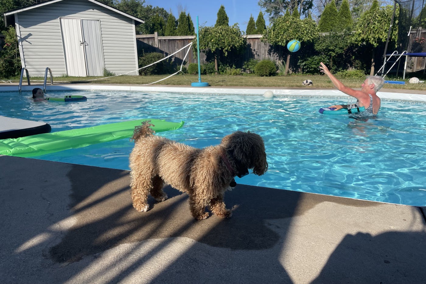 Athletic Pool perfect for kids & relaxing - Private Pool in Kingston ...