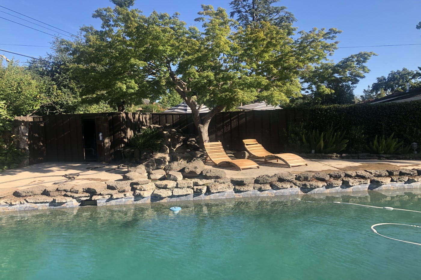 Stunning Backyard Paradise - Private Pool in Lodi - Swimply