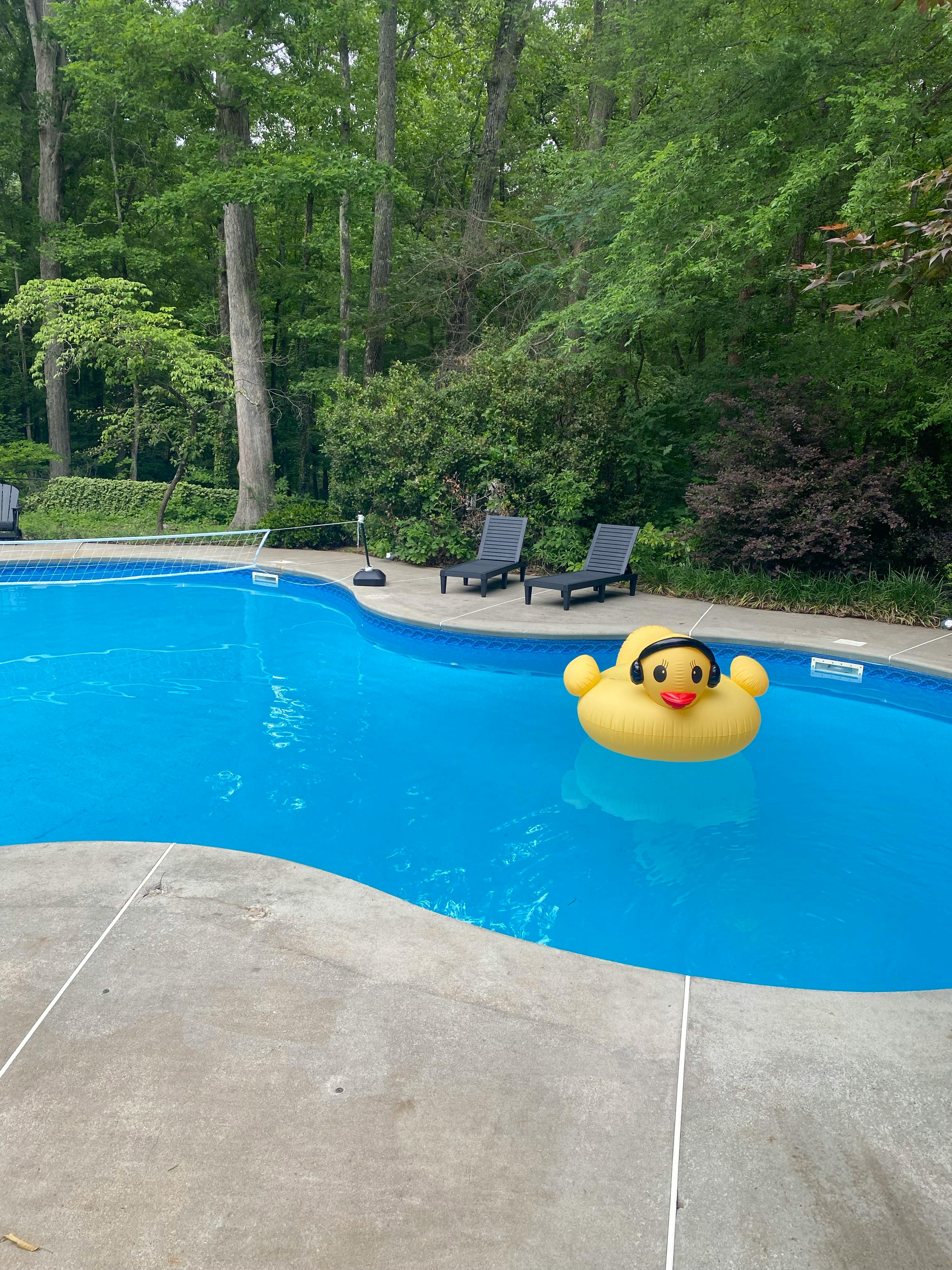 Duck Pool Party