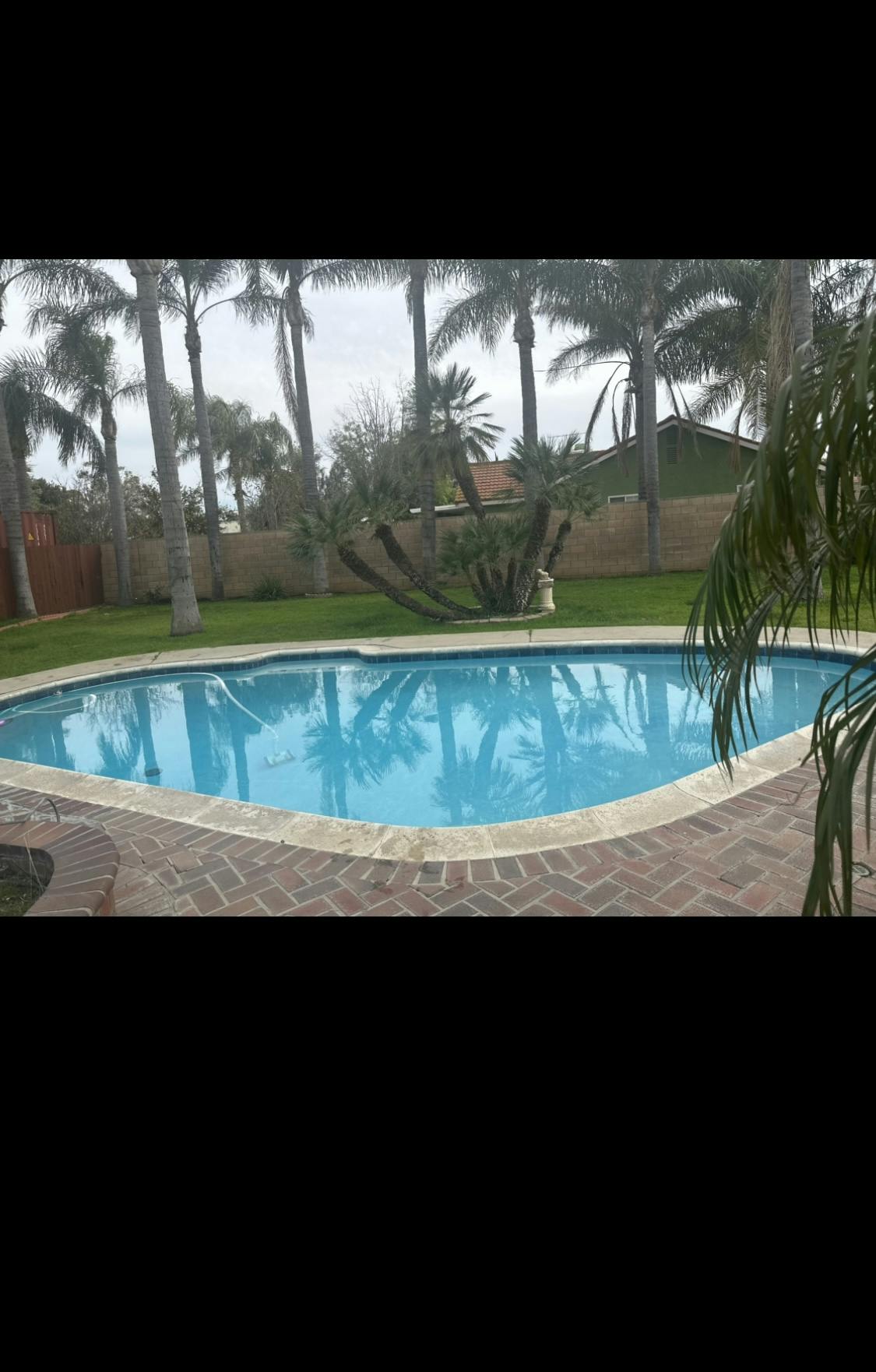 Palm paradise party pool - Private Pool in Riverside - Swimply