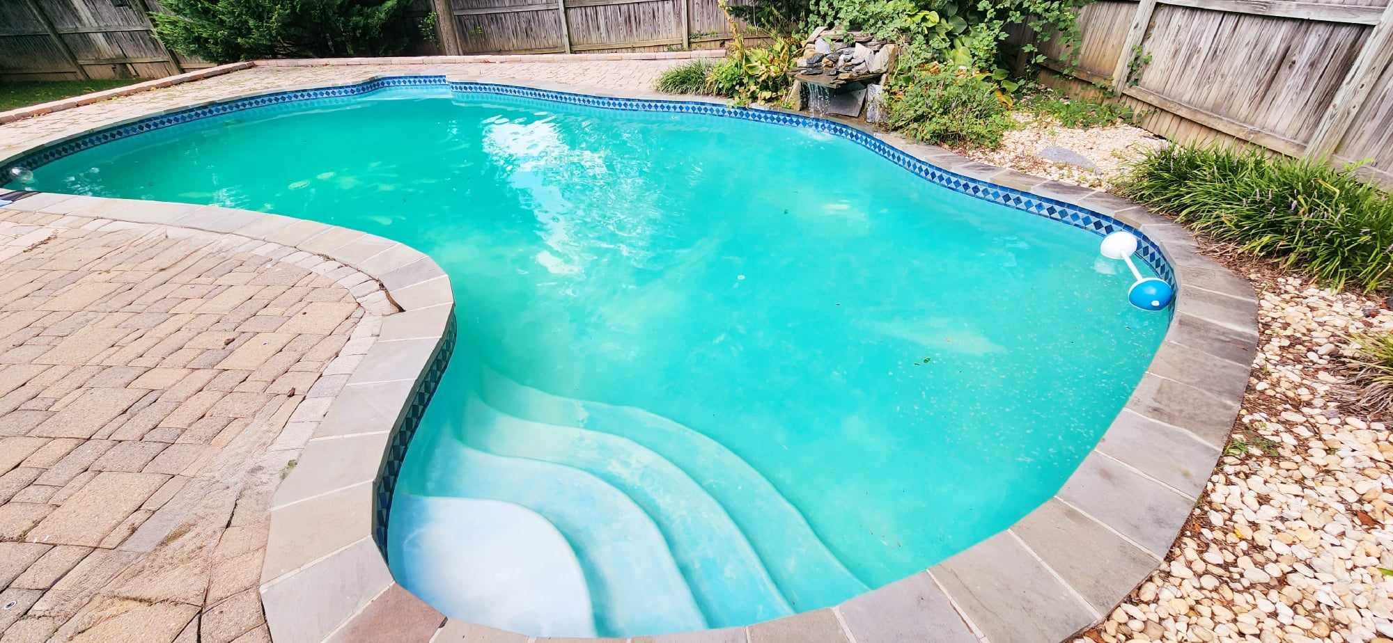 Blue Ribbon Swim - Private Pool in Silver Spring - Swimply